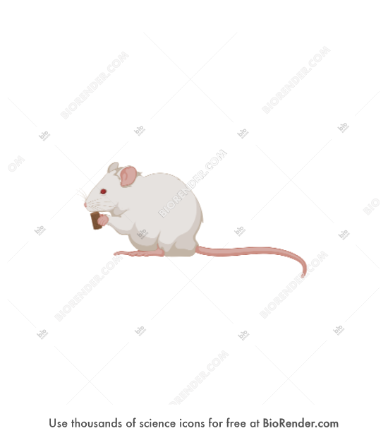 Free Mouse (sitting with food pellet) Icons, Symbols & Images | BioRender
