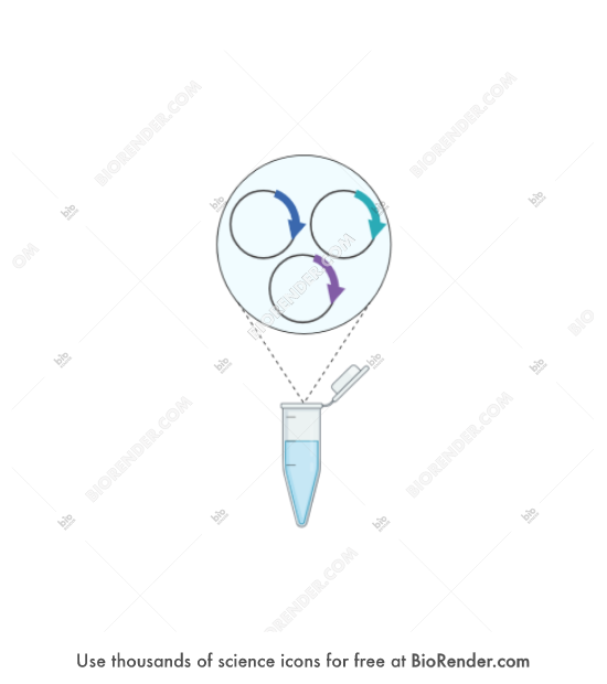 Free Eppendorf tube (open, with plasmids) Icons, Symbols & Images ...