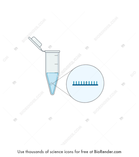 Free Eppendorf tube (open, with RNA) Icons, Symbols & Images | BioRender