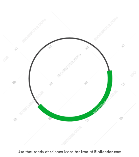 Free Plasmid (1b) Icons, Symbols & Images | BioRender