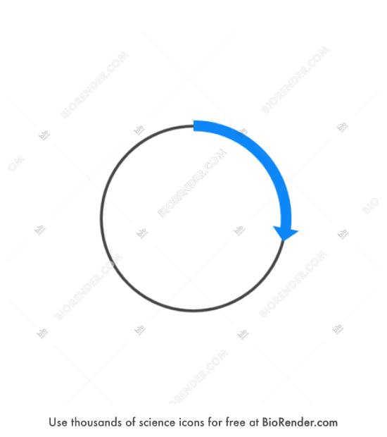 Free Plasmid (1a) Icons, Symbols & Images | BioRender