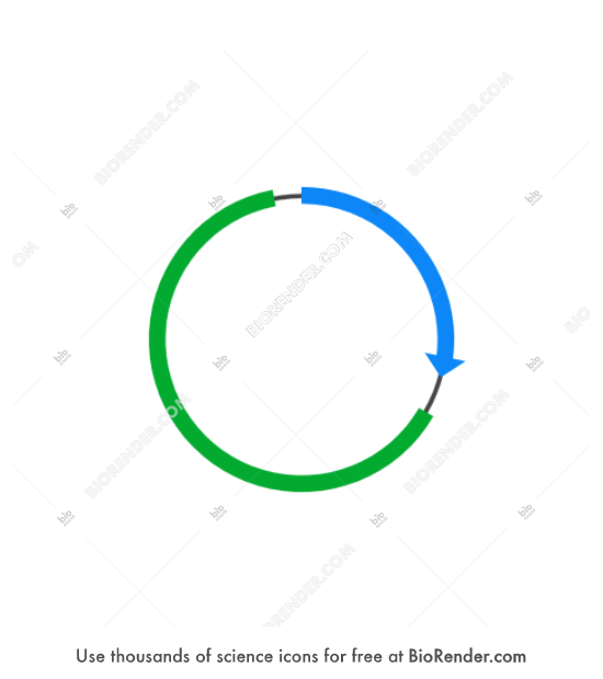 Free Plasmid (2a) Icons, Symbols & Images | BioRender