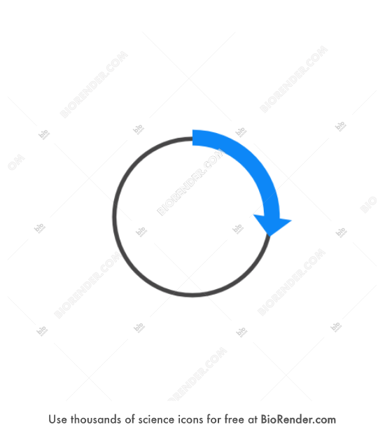 Free Minicircle (1) Icons, Symbols & Images | BioRender