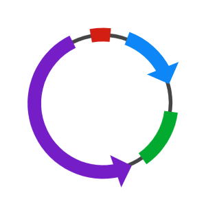 Free Minicircle (1) Icons, Symbols & Images | BioRender