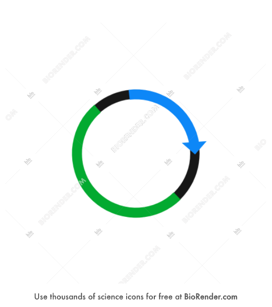 Free Plasmid (symbolic, 2) Icons, Symbols & Images | BioRender