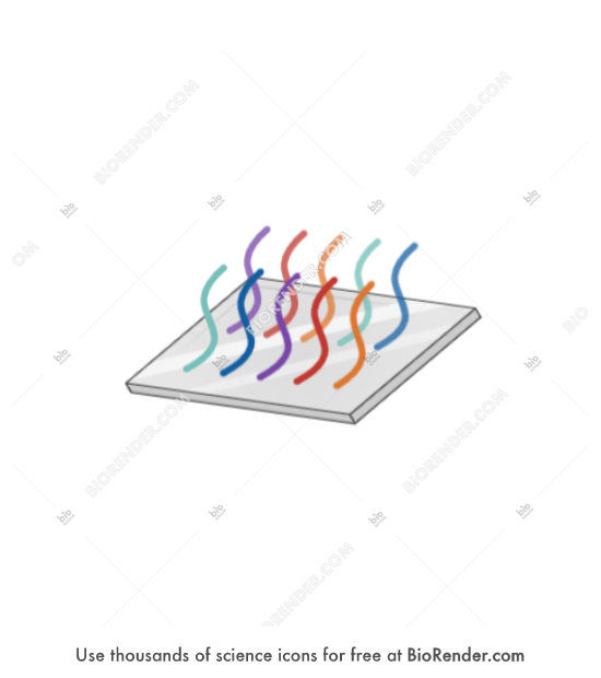 Free DNA microarray Icons, Symbols & Images | BioRender