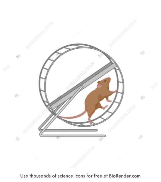 Running Wheel Running Wheel