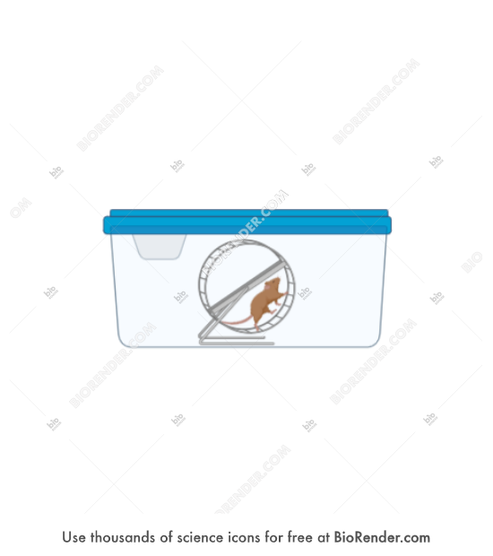 Free Rodent cage with wheel and mouse Icons, Symbols & Images | BioRender