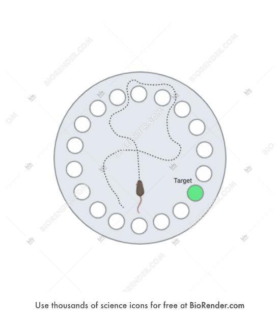 Free Barnes maze (top view) Icons, Symbols & Images | BioRender