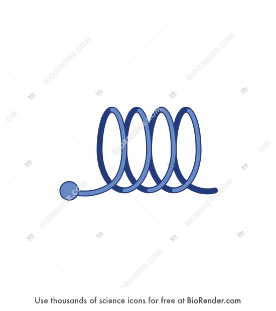 Free Viral genome (coiled, short) Icons, Symbols & Images | BioRender