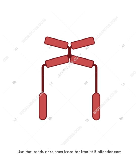 Free EpoR (dimer, inactive) Icons, Symbols & Images | BioRender