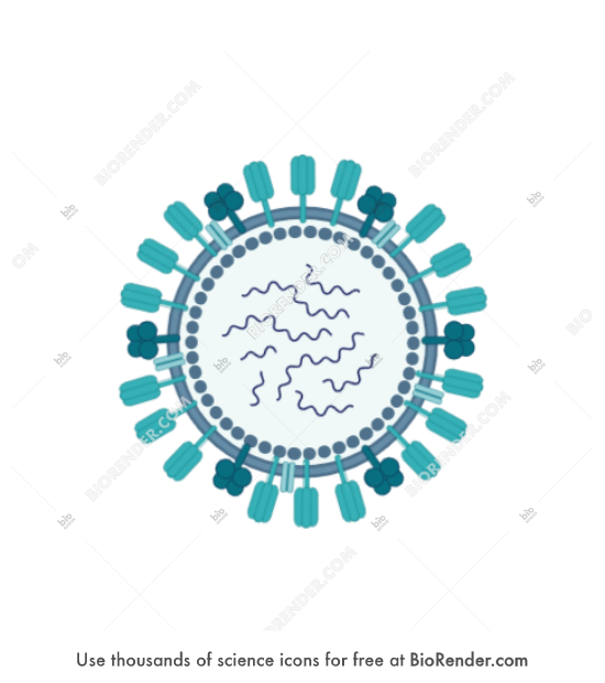 Free Influenza virus Icons, Symbols & Images | BioRender