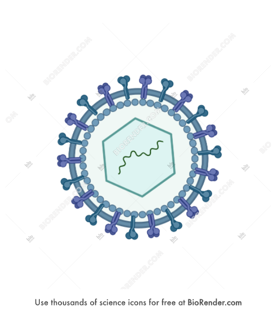 Free Generic virus 3 Icons, Symbols & Images | BioRender