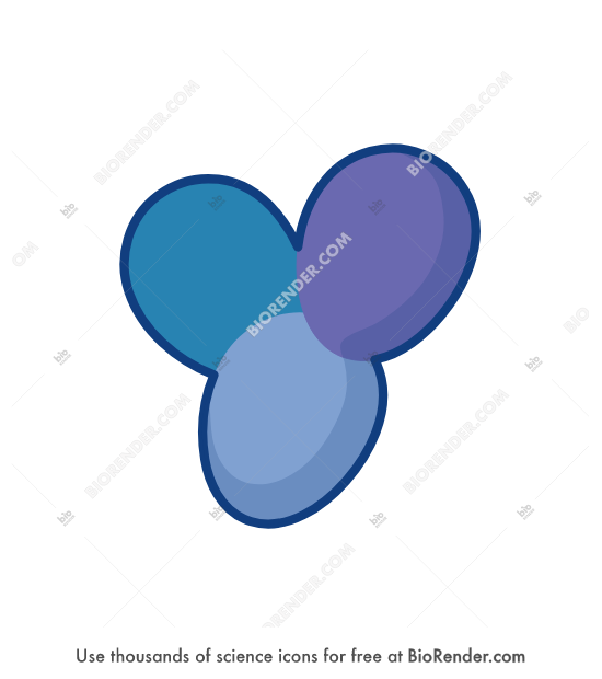 Free Albumin (serum) Icons, Symbols & Images | BioRender