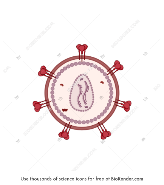Free HIV Icons, Symbols & Images | BioRender