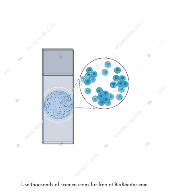 Free ThinPrep slide (top, with zoom-in view) Icons, Symbols & Images ...