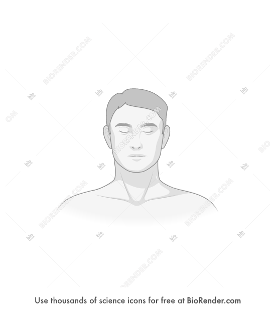 Free Adult male head (anterior) Icons, Symbols & Images | BioRender