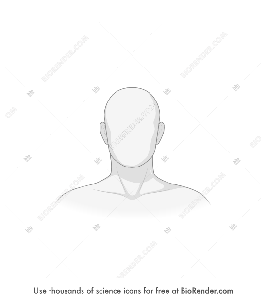 Free Adult male head (anterior, no features) Icons, Symbols & Images ...