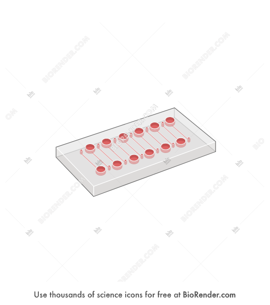 Free Microfluidic device (parallel channels) Icons, Symbols & Images ...