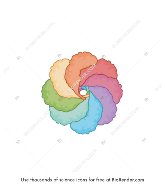 Free TRiC chaperonin (8-mer) Icons, Symbols & Images | BioRender