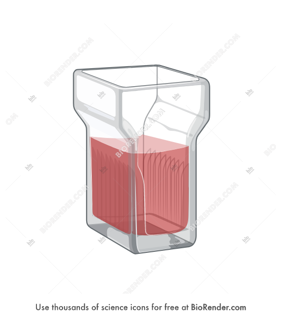 Free Coplin staining jar (with colored solutions) Icons, Symbols ...