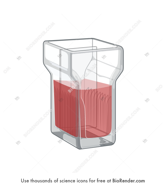 Free Coplin staining jar (with one slide and colored solutions) Icons ...