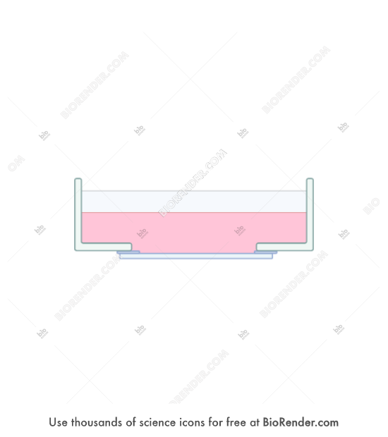 Free Glass bottom dish (lateral, large) Icons, Symbols & Images | BioRender
