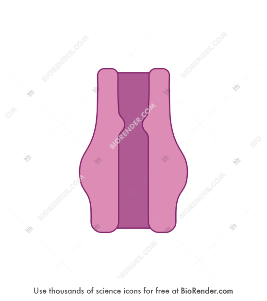 Free Type 1 secretion system (TolC) Icons, Symbols & Images | BioRender