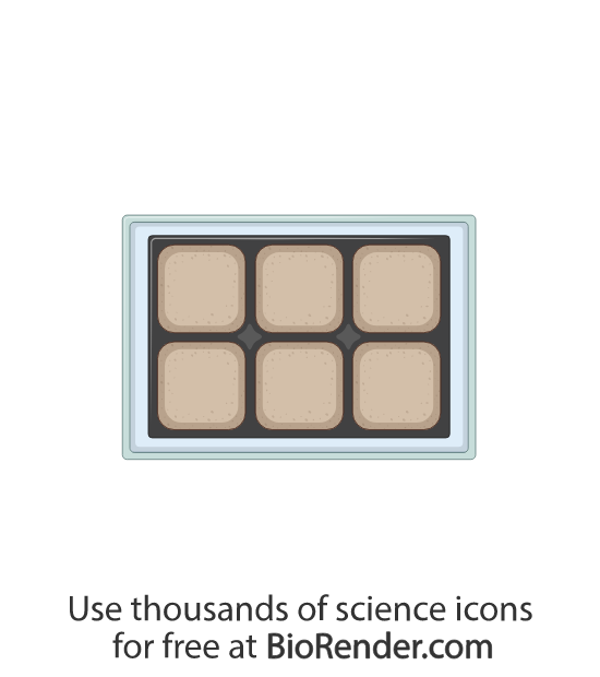 Free Plant growth tray (top view) Icons, Symbols & Images | BioRender