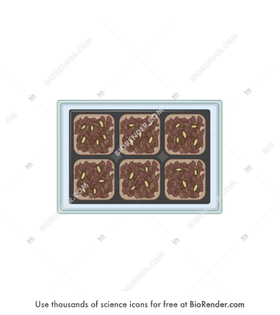 Free Plant growth tray (top view with seeds and growth medium) Icons ...