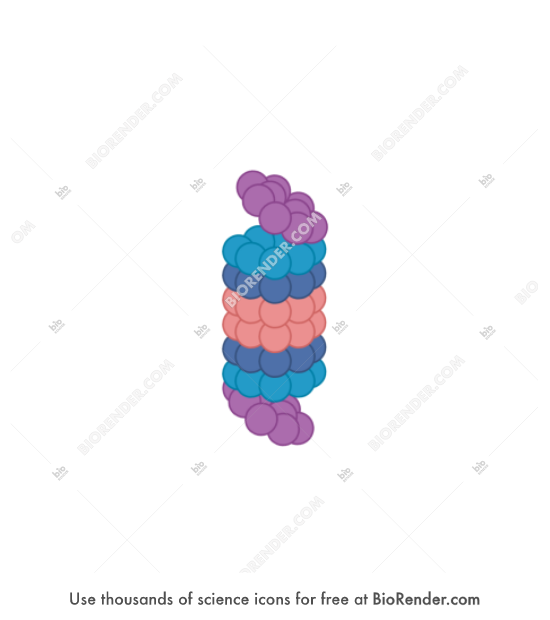 Free Proteasome (editable) Icons, Symbols & Images | BioRender