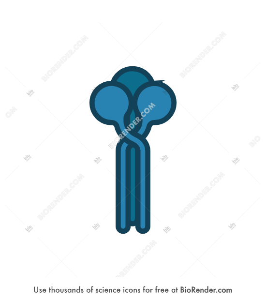Free VSV (glycoprotein) Icons, Symbols & Images | BioRender