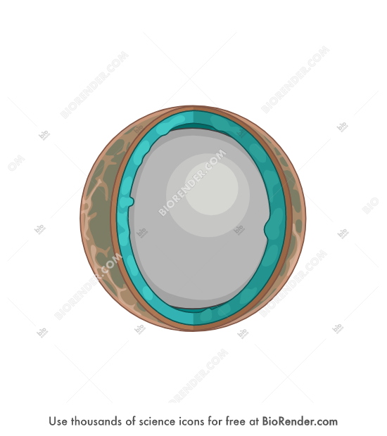 Free Nanosphere Icons, Symbols & Images | BioRender