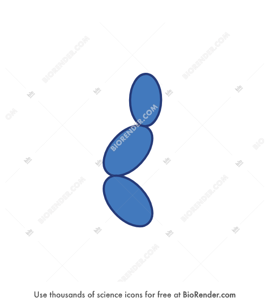 Free IL-6R (soluble) Icons, Symbols & Images | BioRender