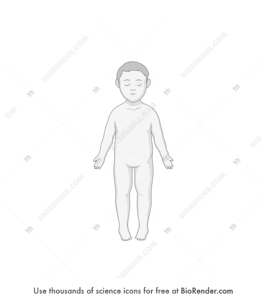 Free Toddler (male, anterior) Icons, Symbols & Images | BioRender
