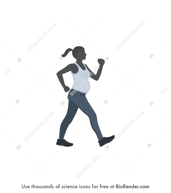 Free Pregnant mother (exercising) Icons, Symbols & Images | BioRender