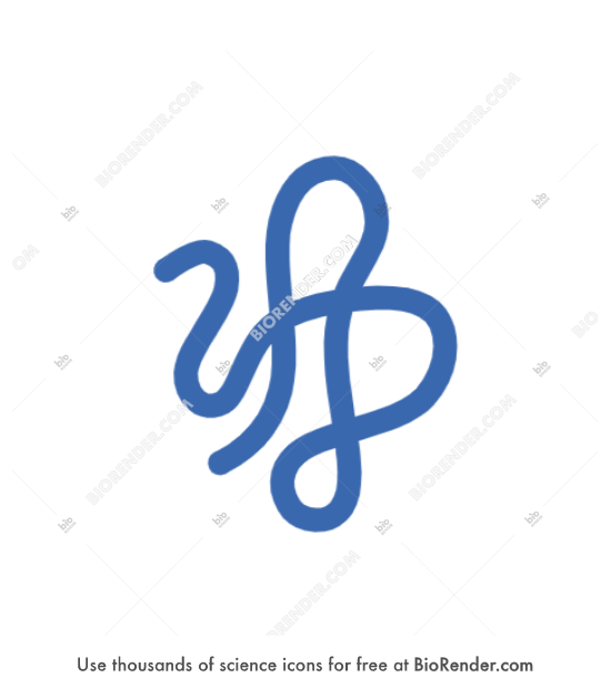 Free Protein denaturation 1 Icons, Symbols & Images | BioRender