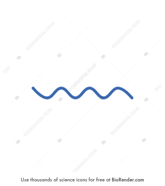 Free Protein denaturation 4 Icons, Symbols & Images | BioRender