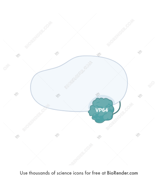 Free dCas9-VP64 Icons, Symbols & Images | BioRender