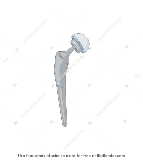Free Hip implant Icons, Symbols & Images | BioRender
