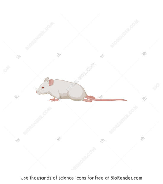 Free Mouse (lateral, hind limb paralysis) Icons, Symbols & Images ...