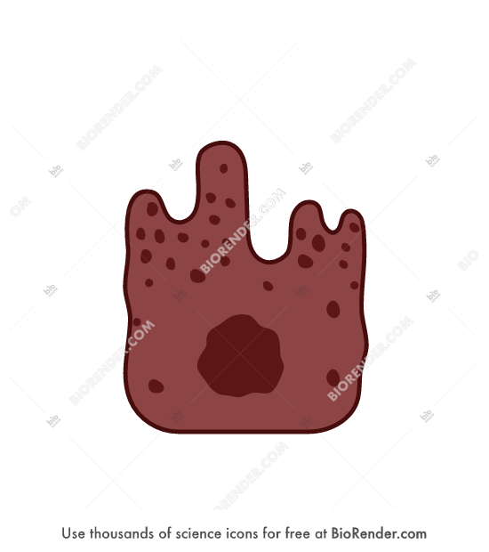 Free Retinal cell (pigment epithelia, dying 1) Icons, Symbols & Images ...