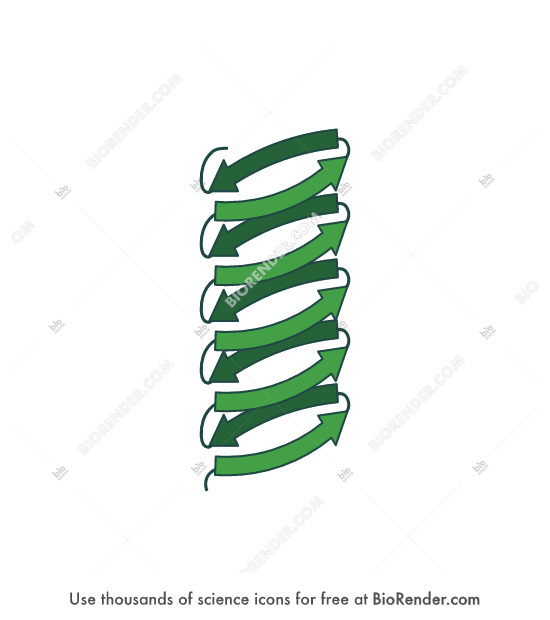 Free Type 5 secretion system (CdiB) Icons, Symbols & Images | BioRender