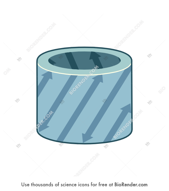 Free Type 5 secretion system (beta barrel) Icons, Symbols & Images ...