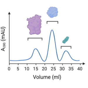 Free Generic protein (2 grooves) Icons, Symbols & Images | BioRender