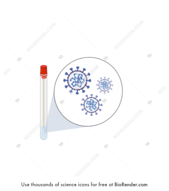 Free SARS-CoV-2 collected specimen Icons, Symbols & Images | BioRender