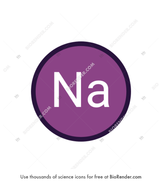 Free 11 Sodium Icons, Symbols & Images | BioRender