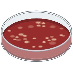 Free Petri dish blood agar Icons, Symbols & Images | BioRender