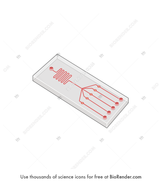 Free Microfluidic device 1 Icons, Symbols & Images | BioRender
