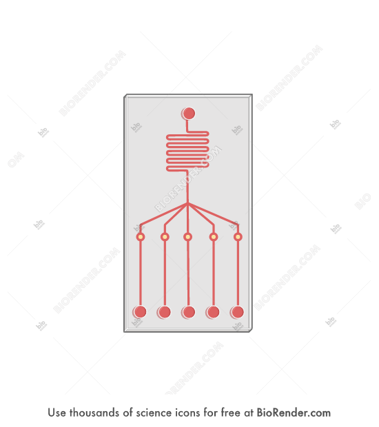 Free Microfluidic device (top 4) Icons, Symbols & Images | BioRender